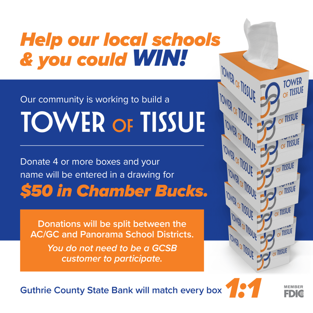 Help Our Local Schools by Donating to the Tower of Tissue!